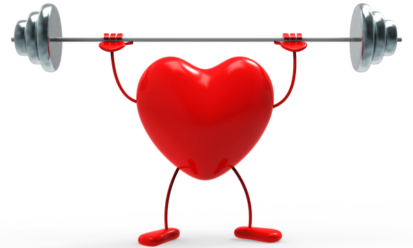 Las claves para mantener una buena salud cardiovascular - MediLife ...